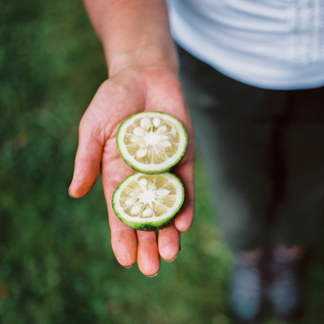 DISCOVER UNCOMMON VODKA